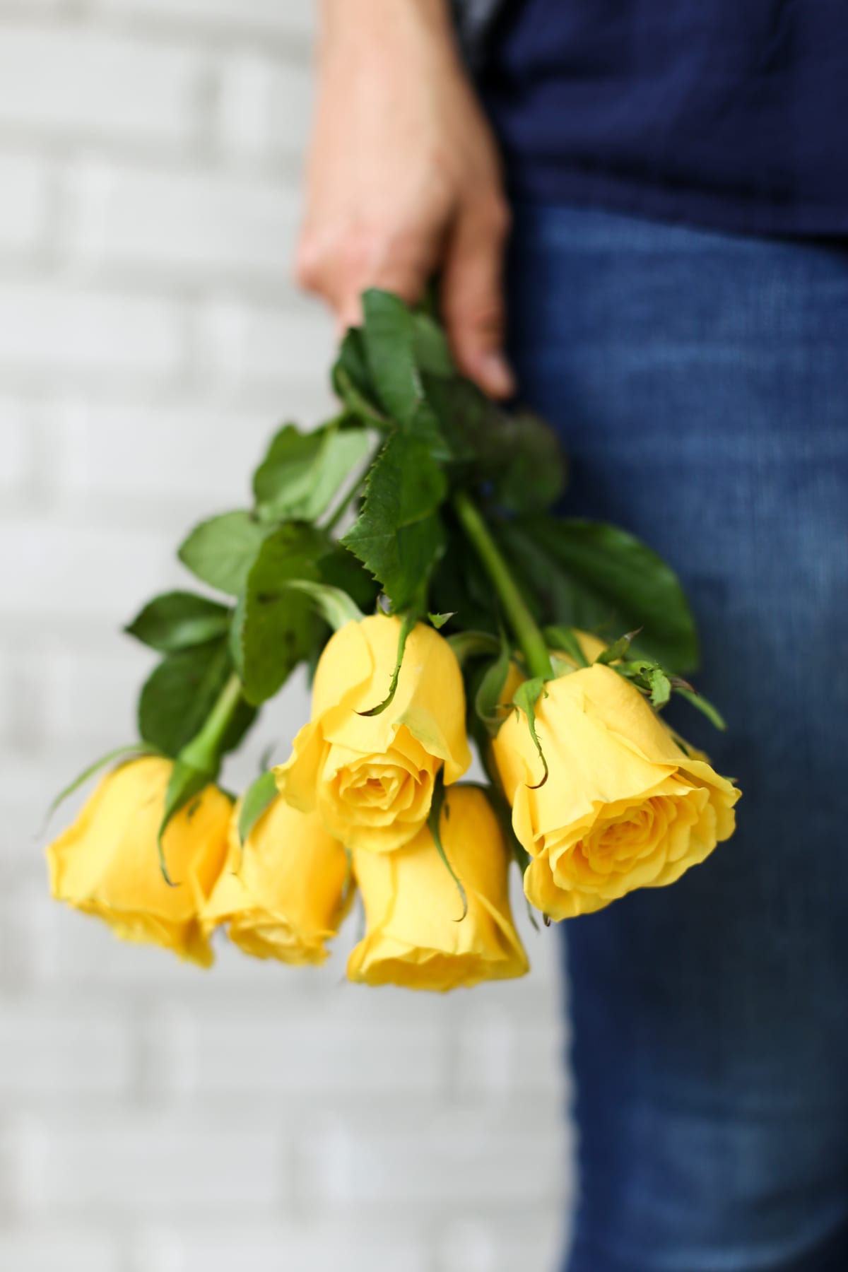 DIY Rose Moisturizing Spray (Toner or Skin Freshener) - Live Simply