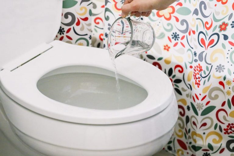 How to Clean and Disinfect a Toilet Bowl, Naturally - Live Simply