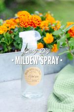 Easy DIY Mildew Spray (Indoor and Outdoor Use) - Live Simply