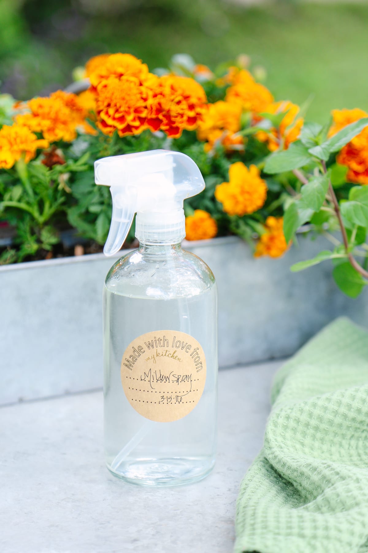 Easy DIY Mildew Spray (Indoor and Outdoor Use) - Live Simply