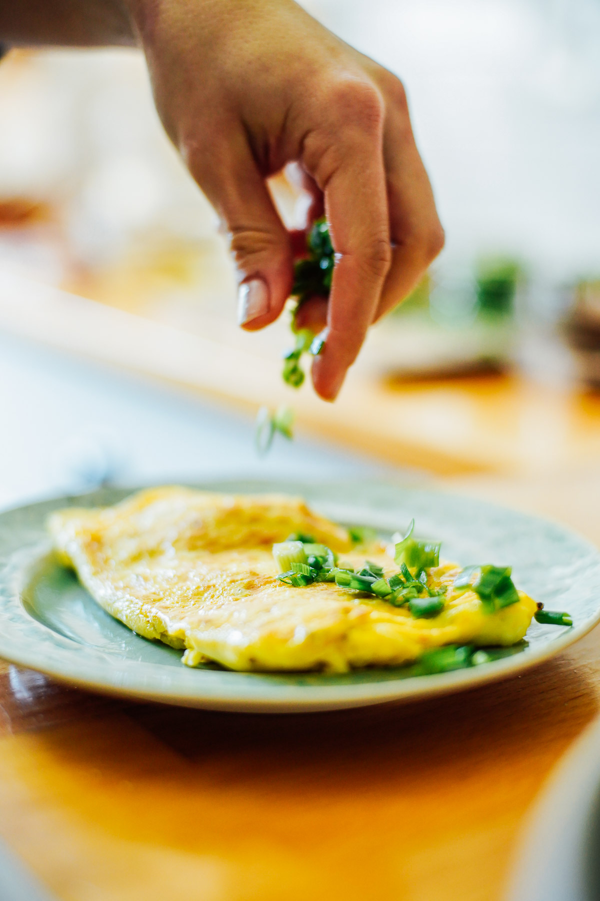 Easy Egg Cheese Omelette Recipe (with Veggie & Ham Option)