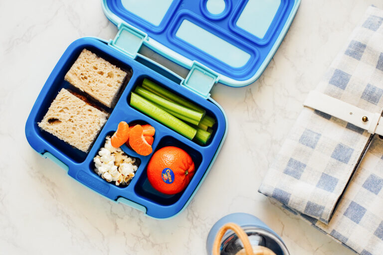 37+ Easy Packed School Lunch Ideas for Kids - Live Simply